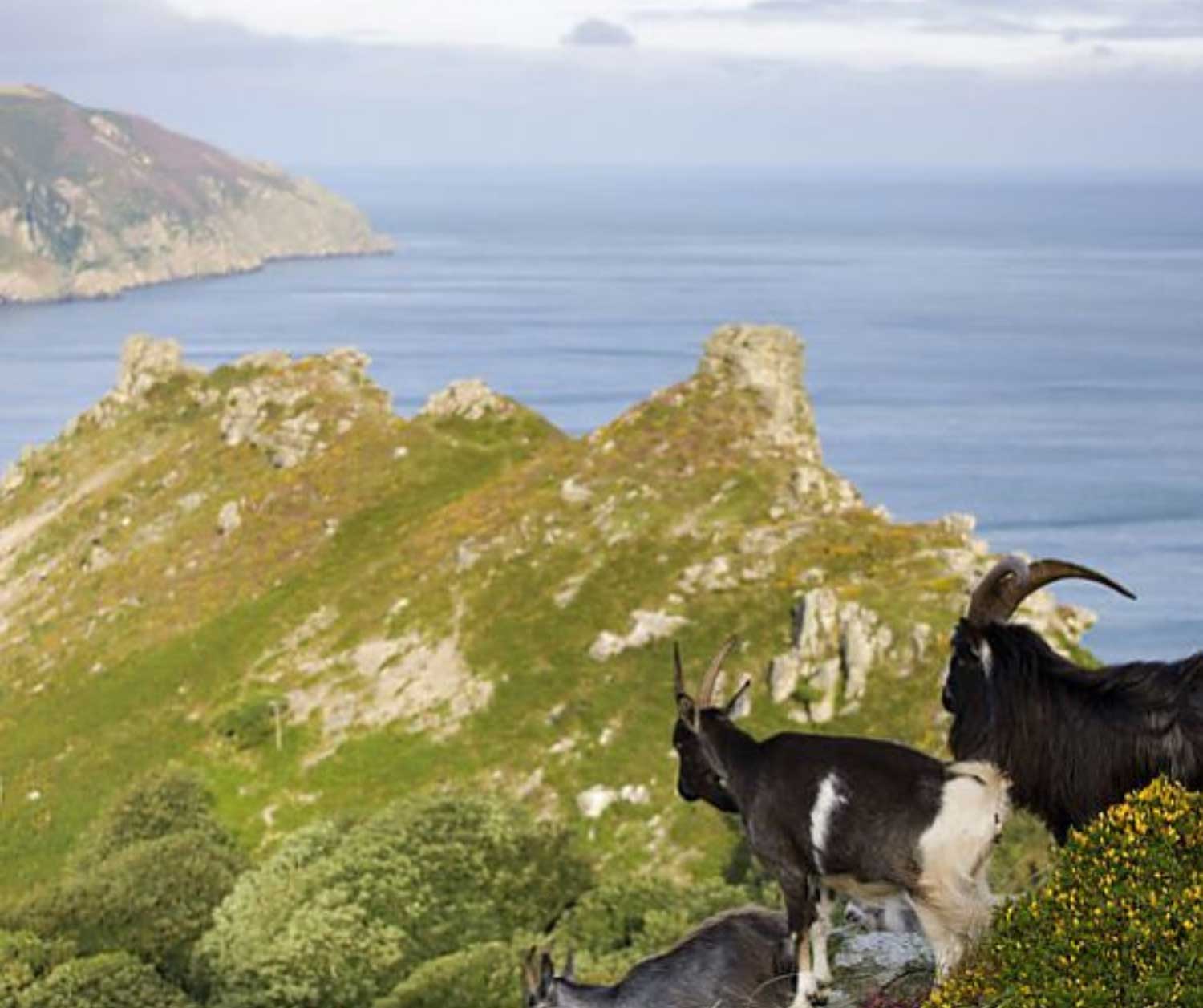 Devon or Cornwall: Which Is Better for a Family Holiday?